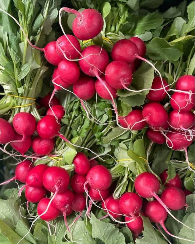 Ridichi, ECO, 1 leg (300g cu tot cu frunze) | Froopt.ro