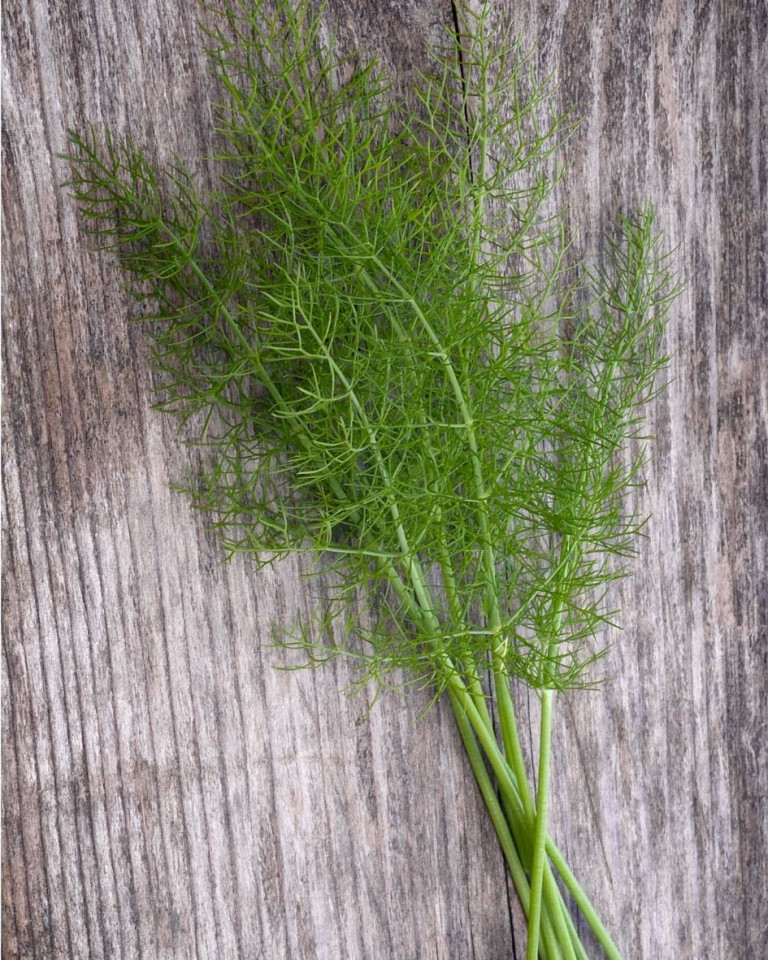 Frunze de fenicul, ECO, 1 leg | Froopt.ro
